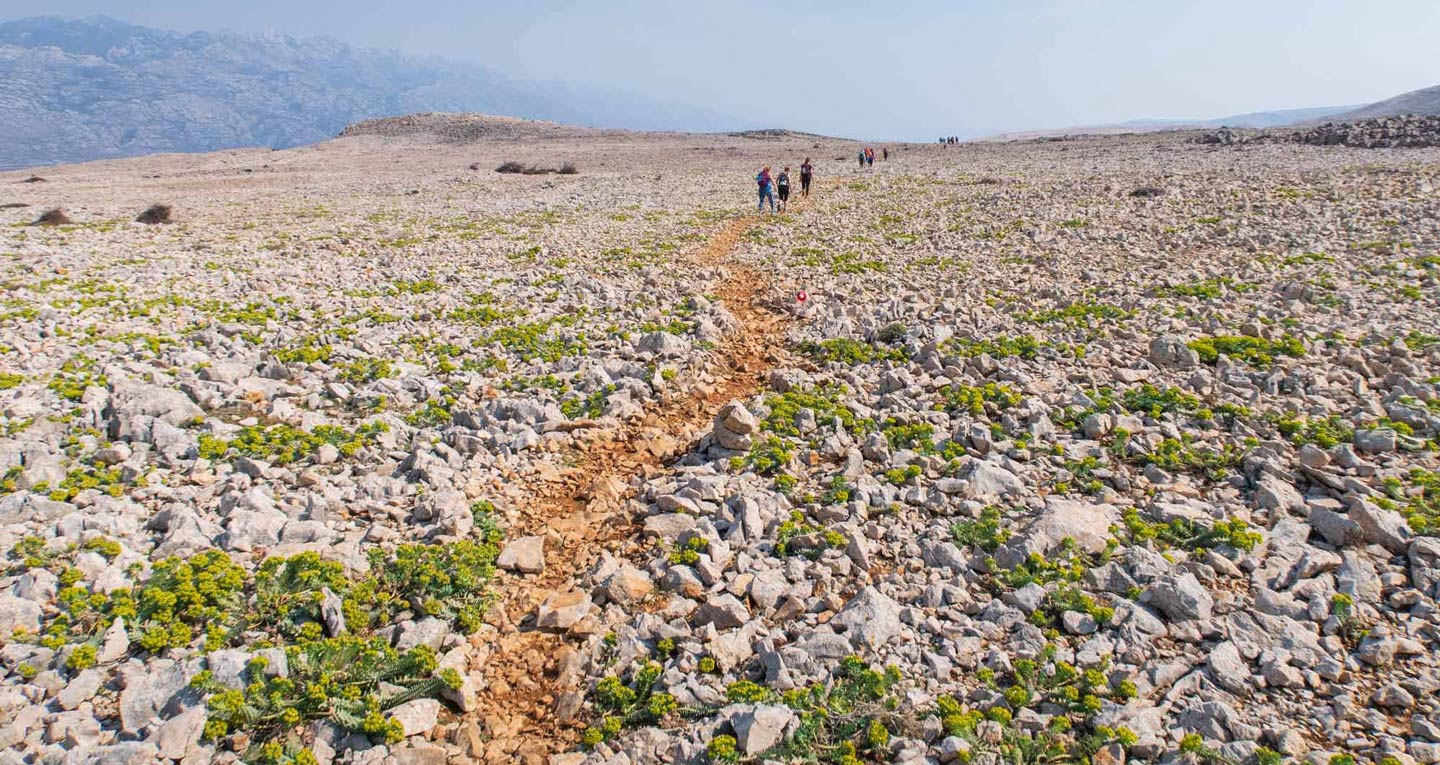 Pot Life on Mars Trail na Pagu namestitev i apartmaji v okolici ...
